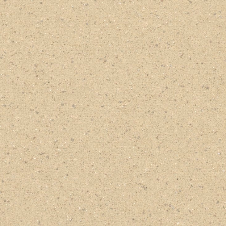 Altro Classic 25 - Canvas X2009 (15.5m x 2m) – JR Flooring Direct